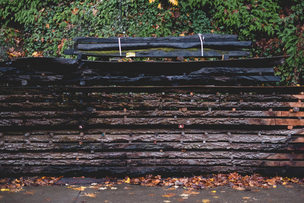 Blacktail Studio's Guide to Live Edge Wood – Goby Walnut