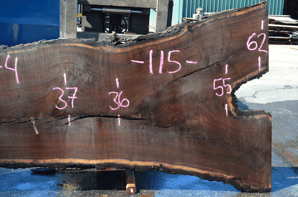 Oregon Black Walnut Slab 042319-04 – Goby Walnut