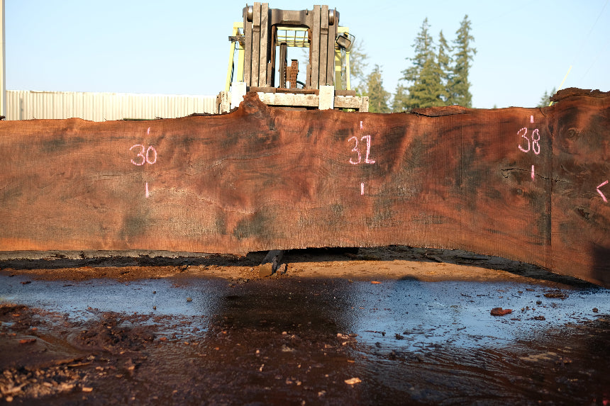 Oregon Black Walnut Slab 080124-06 – Goby Walnut