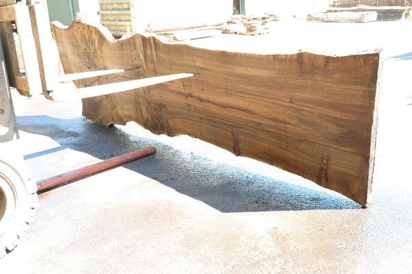 Bastogne Walnut Slab 061623-01 – Goby Walnut