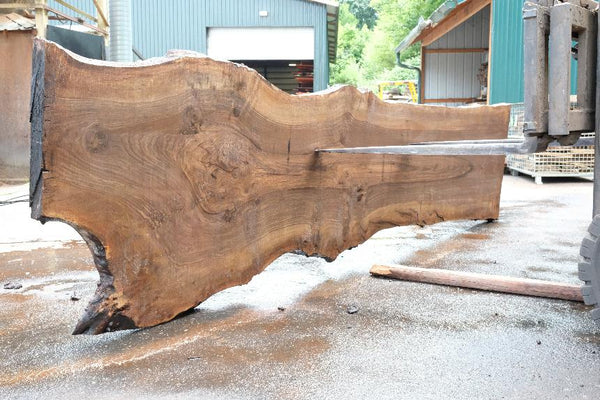 Bastogne Walnut Slab 061623-06 – Goby Walnut