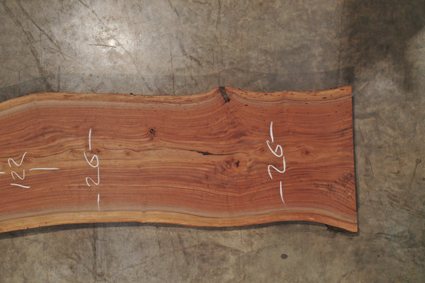 Oregon Black Walnut Slab 092825-8 – Goby Walnut