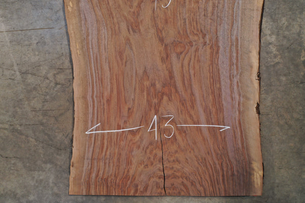 Oregon Black Walnut Slab 101825-2 – Goby Walnut