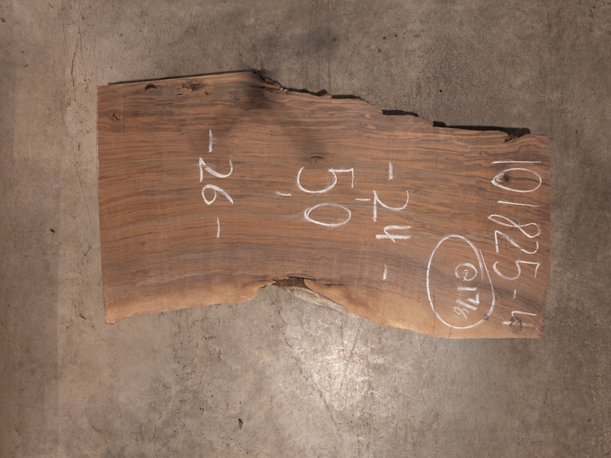 Oregon Black Walnut Slab 101825-4 – Goby Walnut