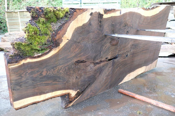 Oregon Black Walnut Slab 042623-02 – Goby Walnut