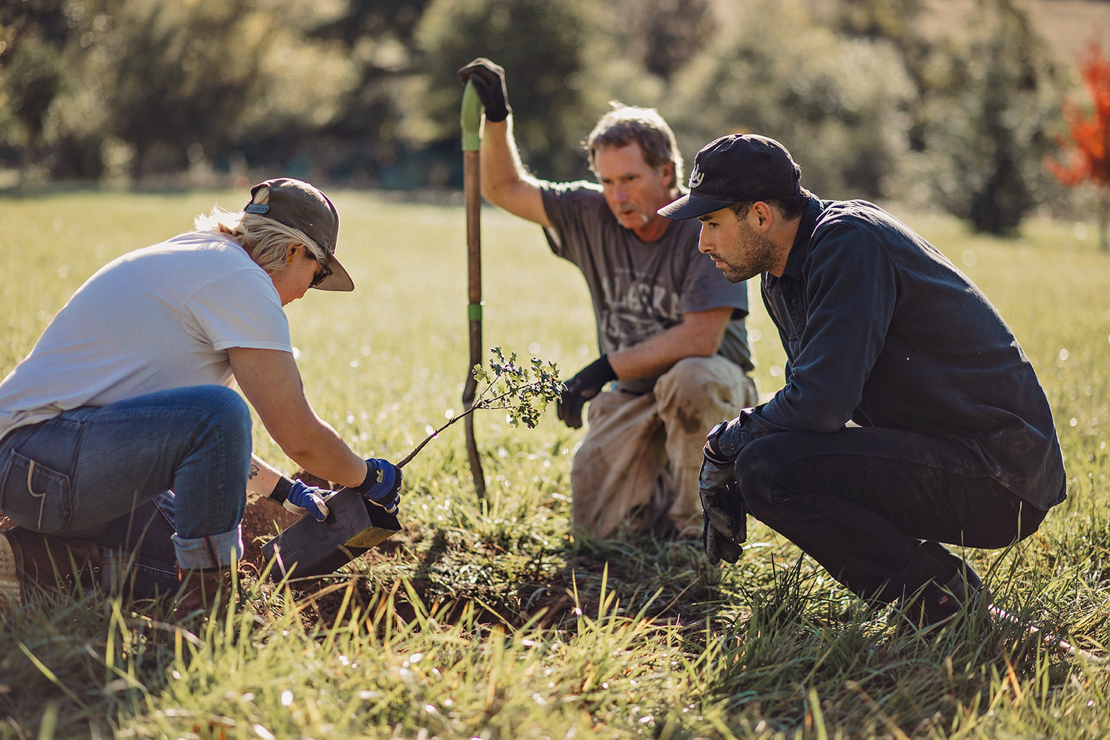 Goby Walnut - Located in the NW