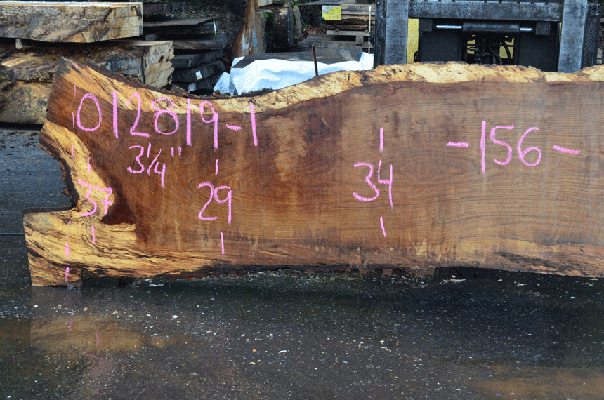 012819-01 Oregon White Oak Slab – Goby Walnut