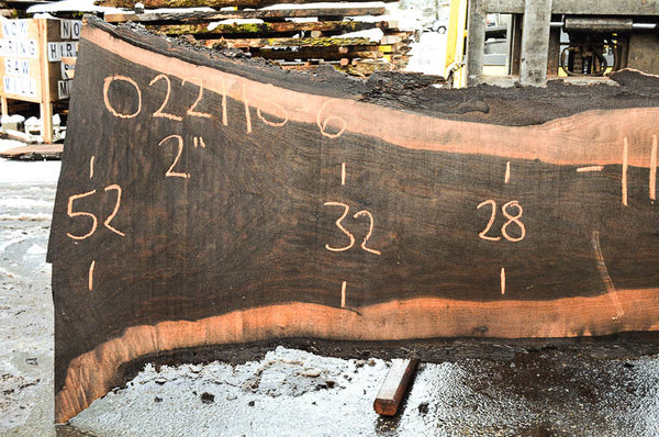 Oregon Black Walnut Slab | Goby Walnut
