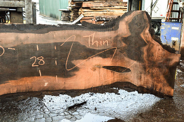 Oregon Black Walnut Slab | Goby Walnut