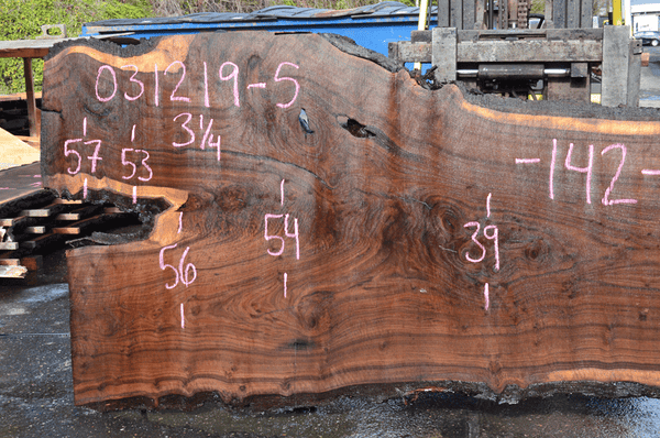 031219-05 Oregon Black Walnut Slab – Goby Walnut