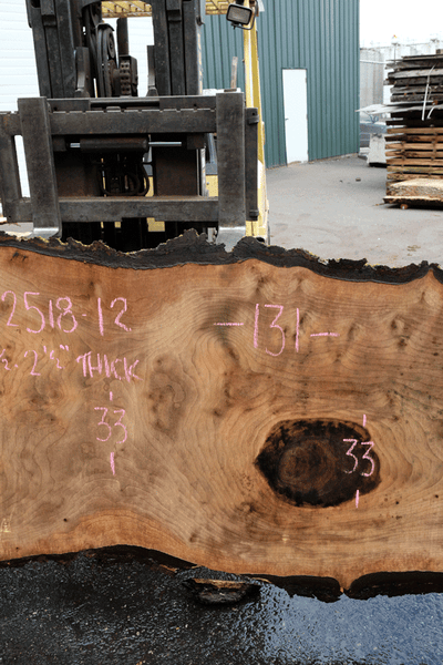 Bastogne Walnut Slab | Goby Walnut