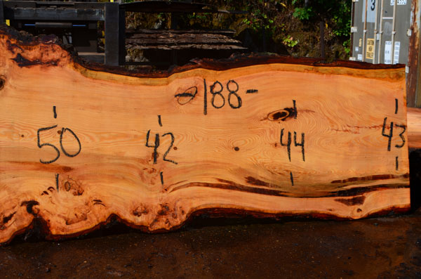 Oregon Fir Slab 060716-02 – Goby Walnut