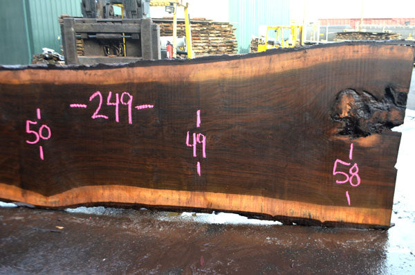 Oregon Black Walnut Slab | Goby Walnut