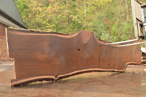 Oregon Black Walnut Slab 102022-01 – Goby Walnut