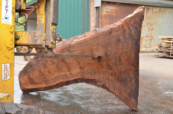 Oregon Black Walnut Slab 091622-09 – Goby Walnut