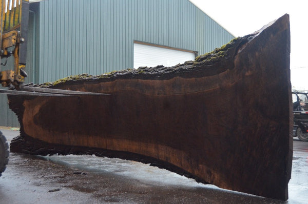 Oregon Black Walnut Slab 092622-15 – Goby Walnut