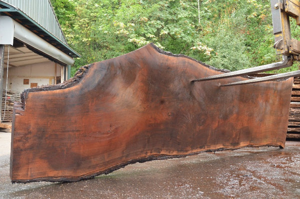 Oregon Black Walnut Slab 081922-06 – Goby Walnut