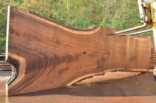 Oregon Black Walnut Slab 100722-08 – Goby Walnut