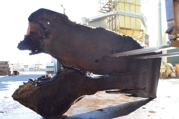 Oregon Black Walnut Slab 082322-01 – Goby Walnut