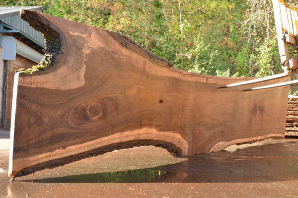 Oregon Black Walnut Slab 100722-12 – Goby Walnut
