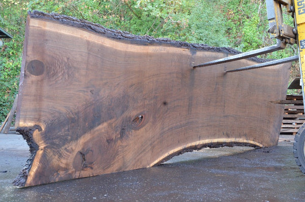 Oregon Black Walnut Slab 101222-01 – Goby Walnut