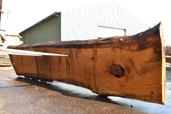 Oregon White Oak Slab 083022-06 – Goby Walnut