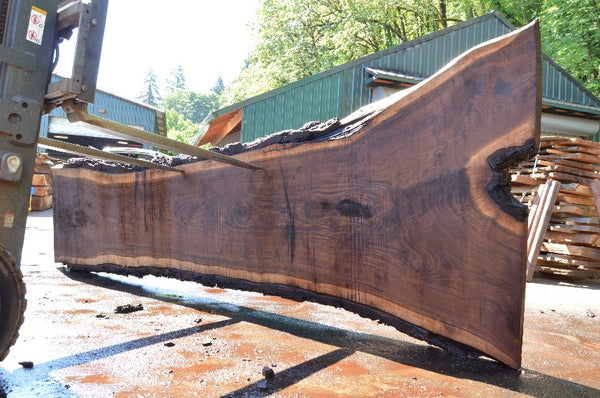 Oregon Black Walnut Slab 071822-04 – Goby Walnut