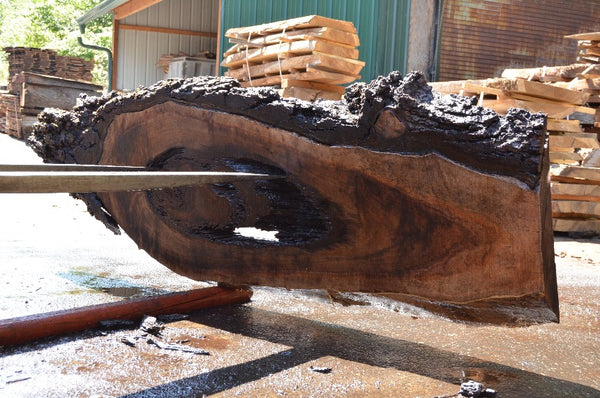 Oregon Black Walnut Slab 071822-11 – Goby Walnut