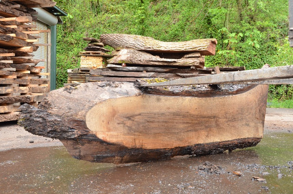 Oregon Black Walnut Slab 051222-05 – Goby Walnut