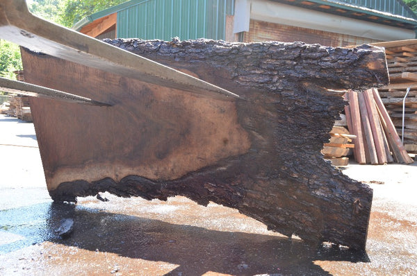 Oregon Black Walnut Slab 072522-10 – Goby Walnut